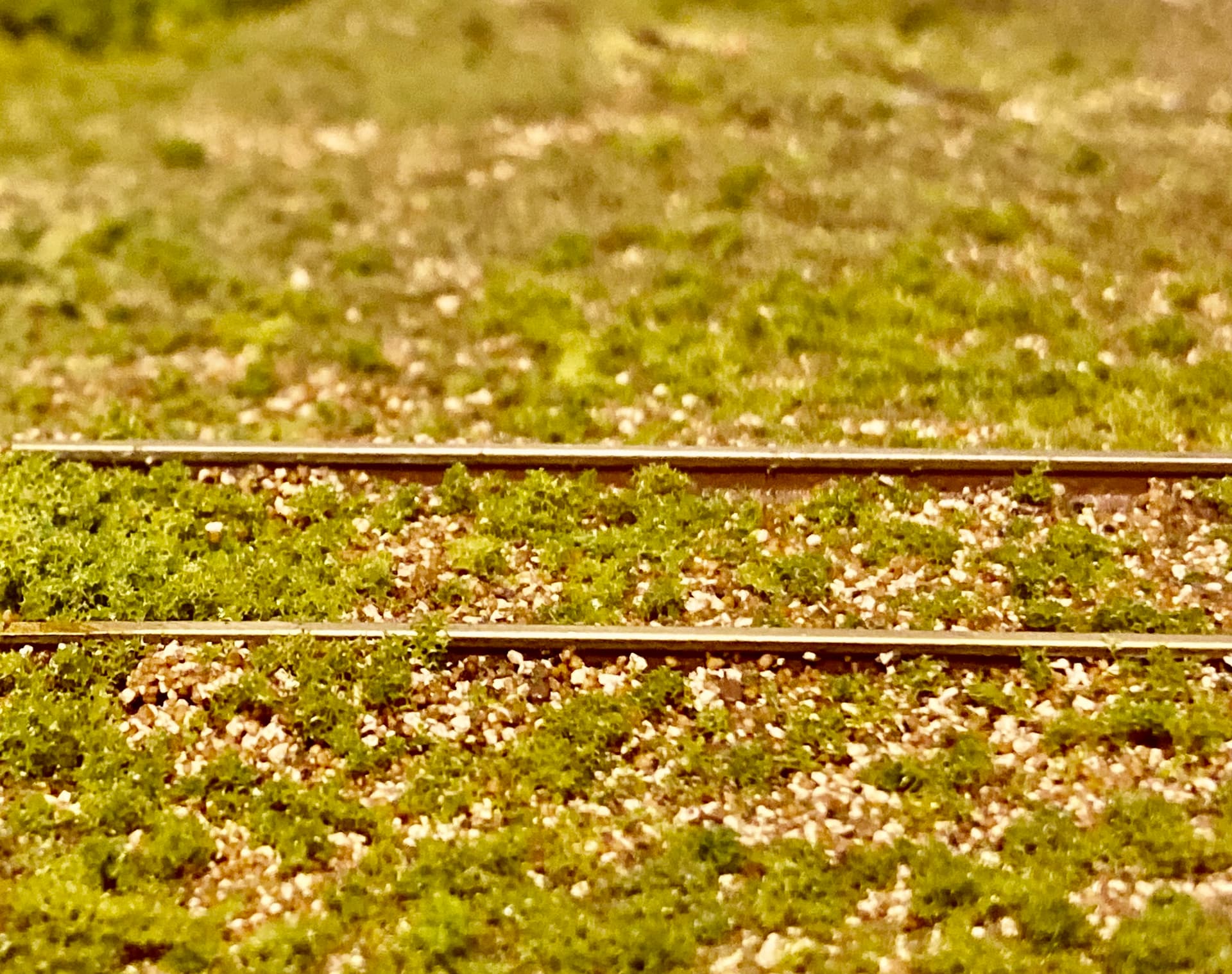 Branchline and short line track - Layouts and layout building - Trains.com Forums