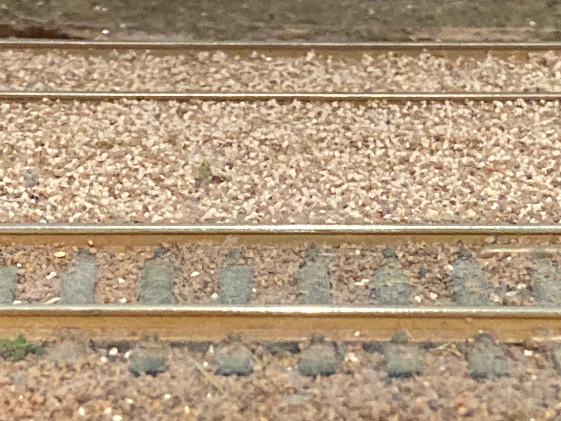 Branchline and short line track - Layouts and layout building - Trains.com Forums